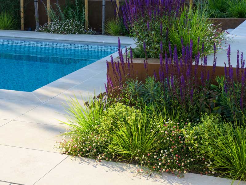 Arbour Landscape Solutions interviews Julia Langsman